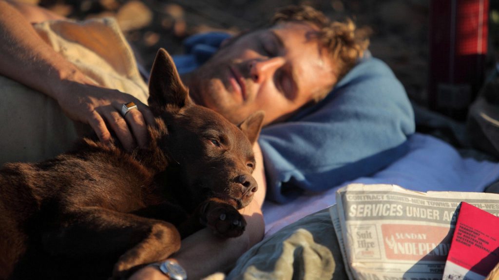 Red Dog Review | Movies4Kids
