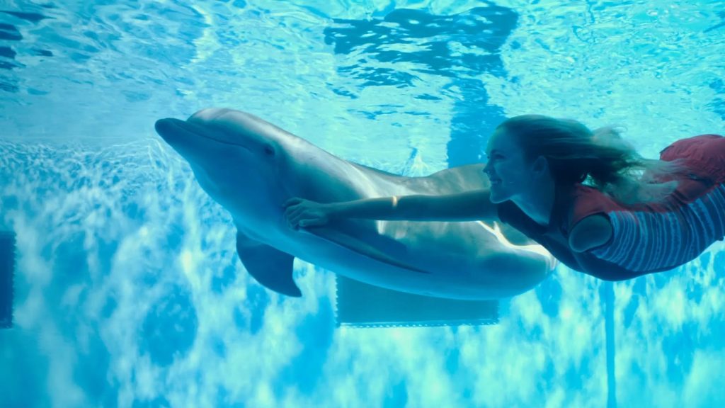 Dolphin Tale 2 Review | Movies4Kids